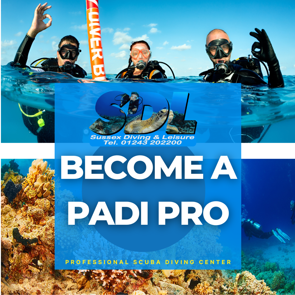 SDL - PADI Professional Courses